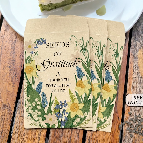 Seed Packet Favors - Etsy