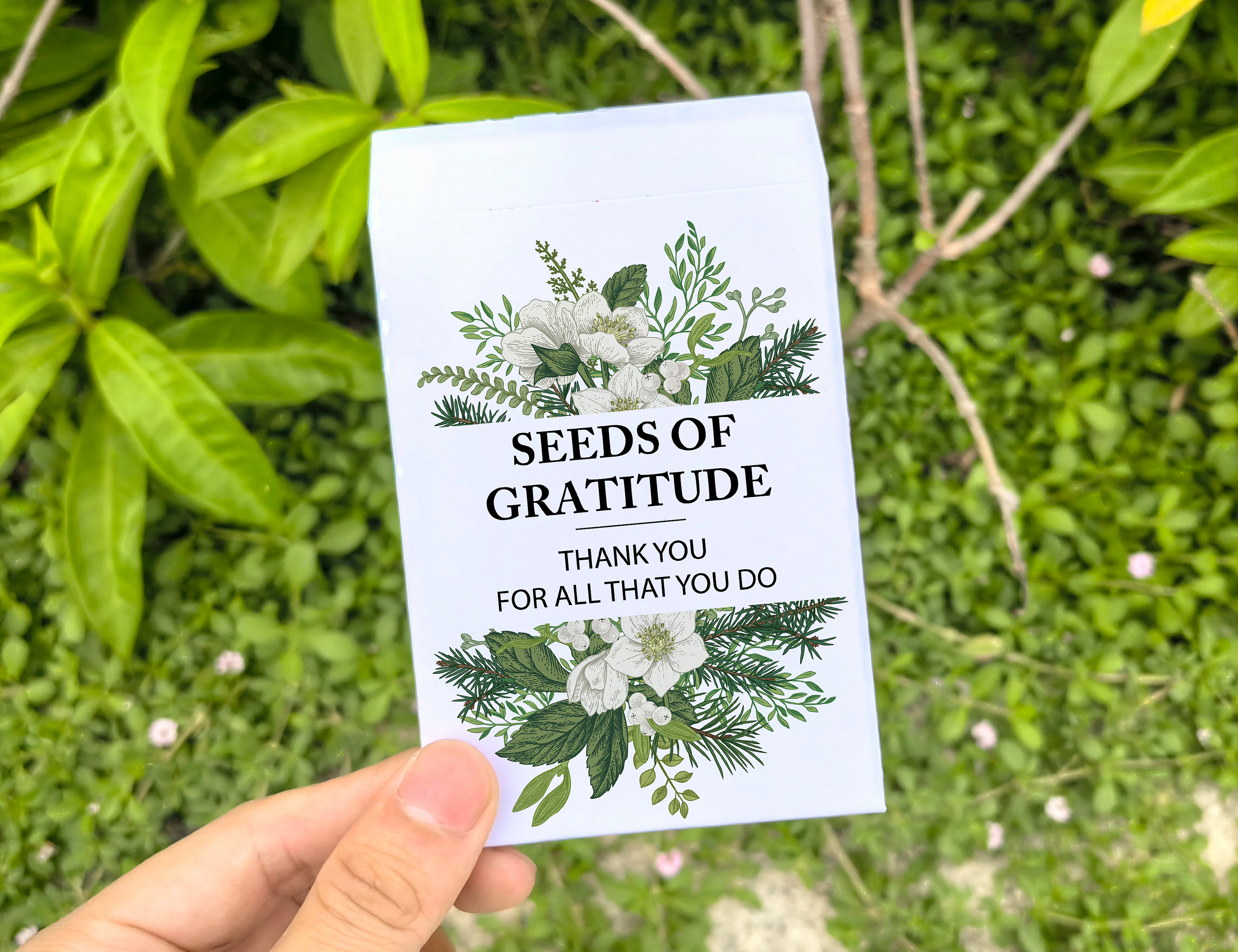 Personalized Party Favor for Graduations Teachers/gratitude Seed Packet ...