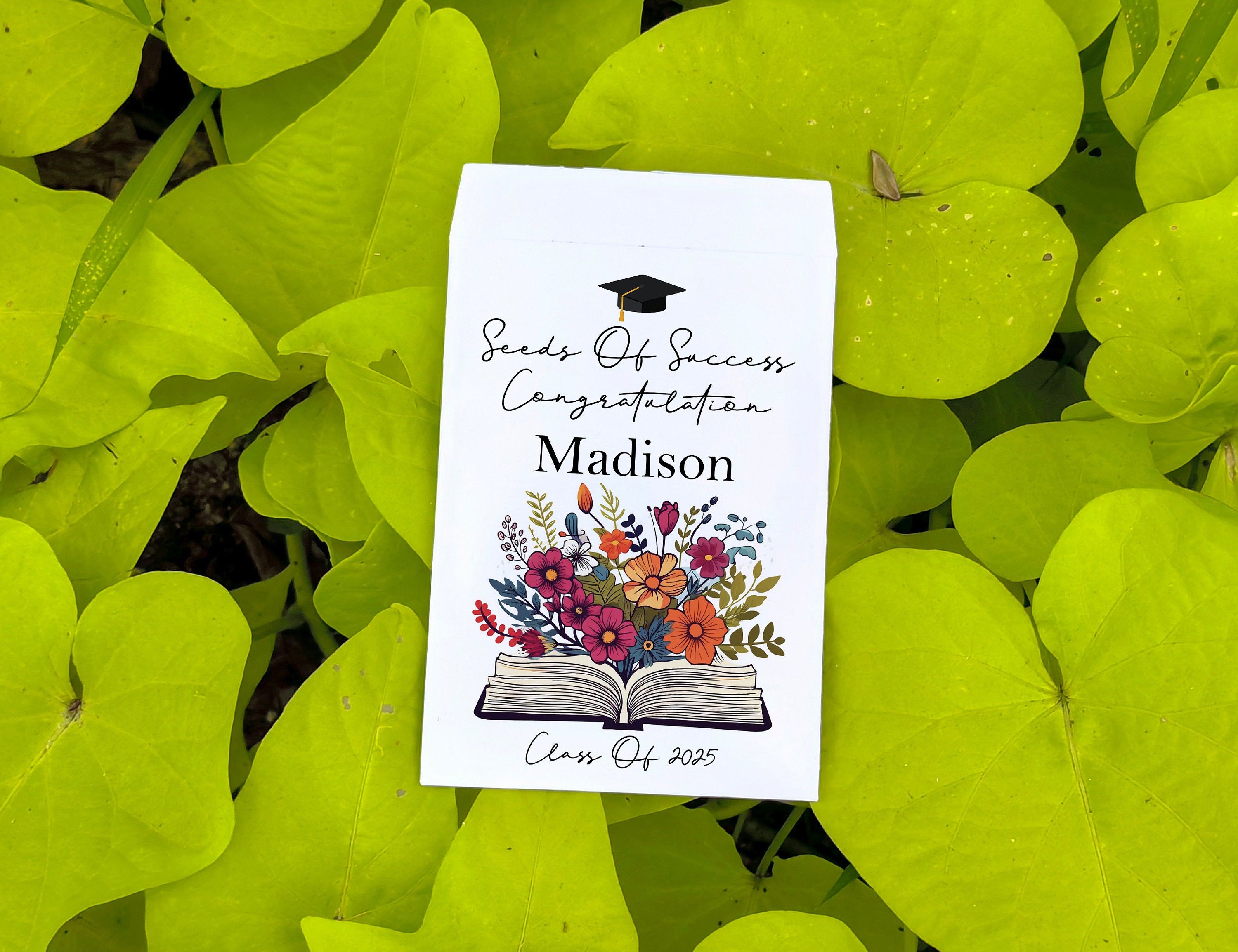Bulk Graduation Gift Seed Packet Custom Grad Party Favor Personalized ...