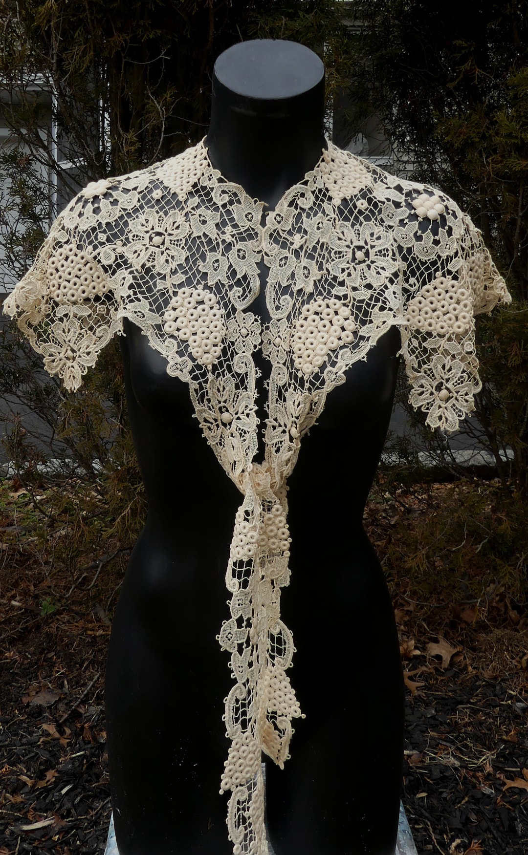 Antique Victorian Handmade Schiffli Point De Neige Needle Lace Collar ...