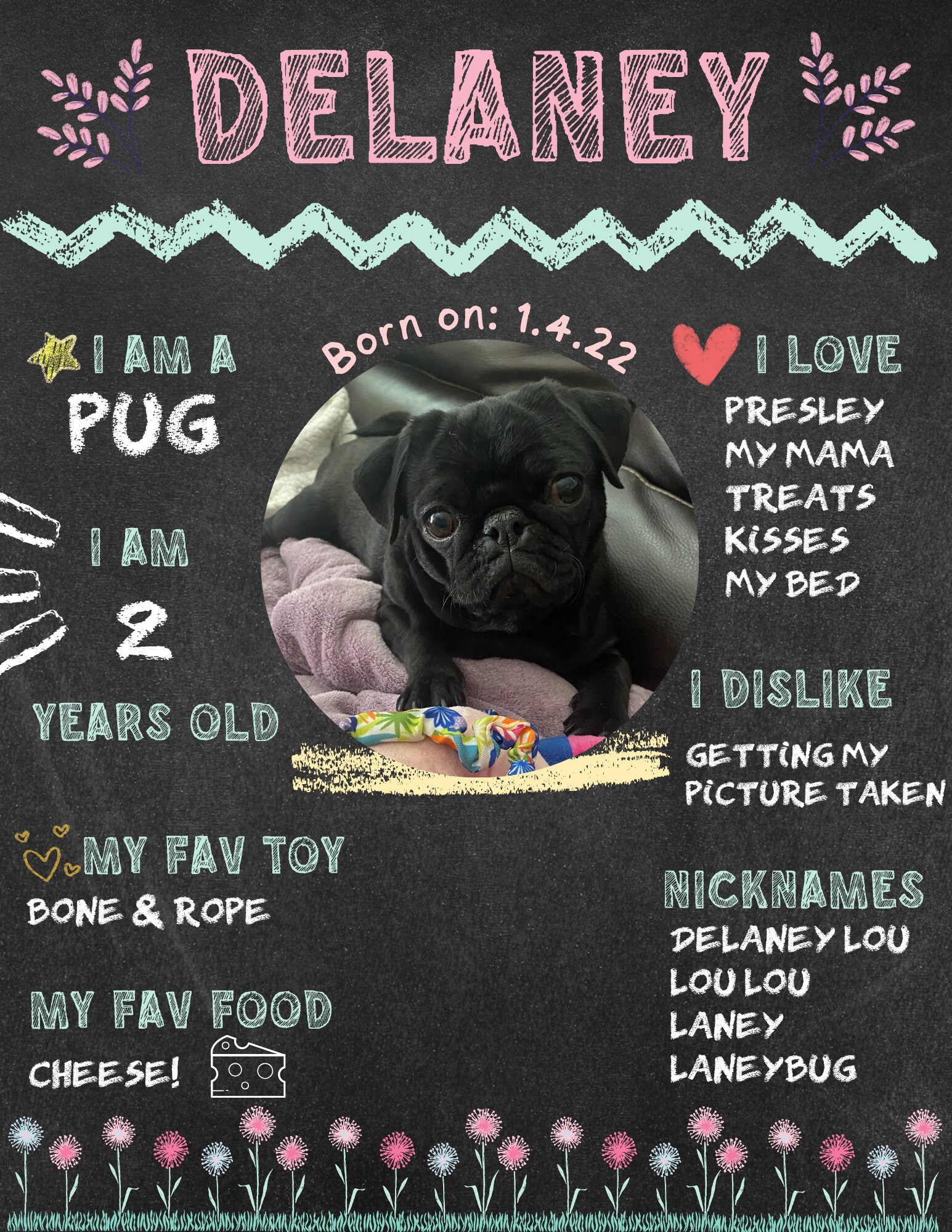 Dog Birthday Board - Etsy