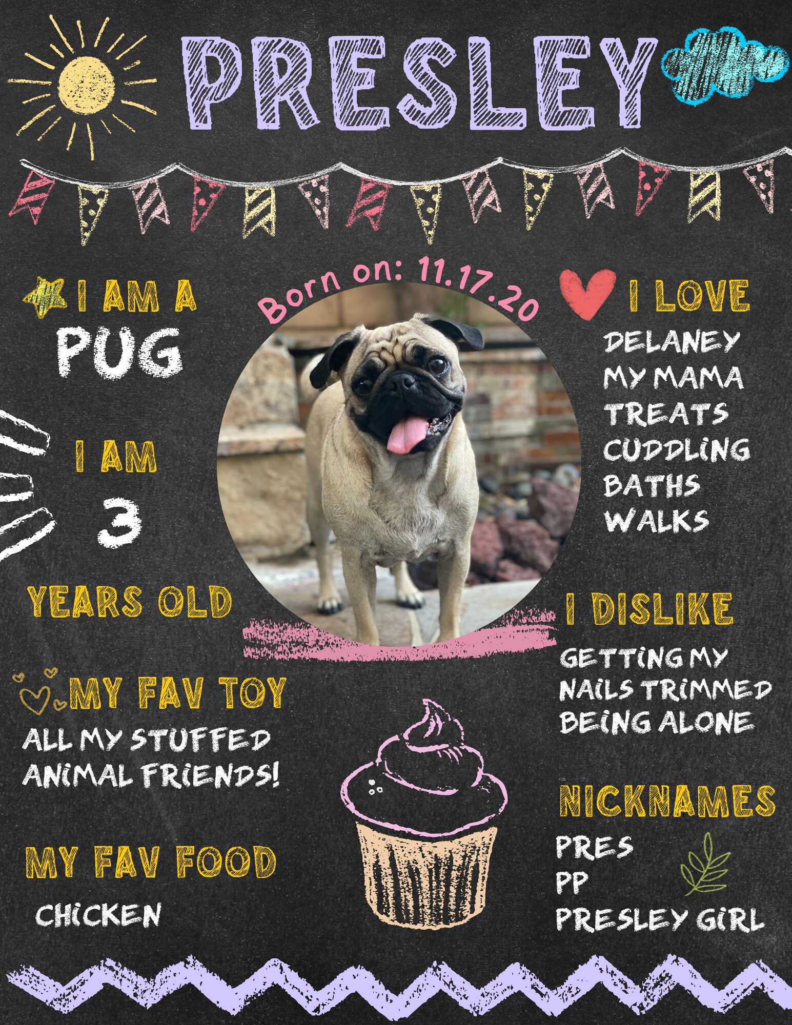 Dog Birthday Board - Etsy