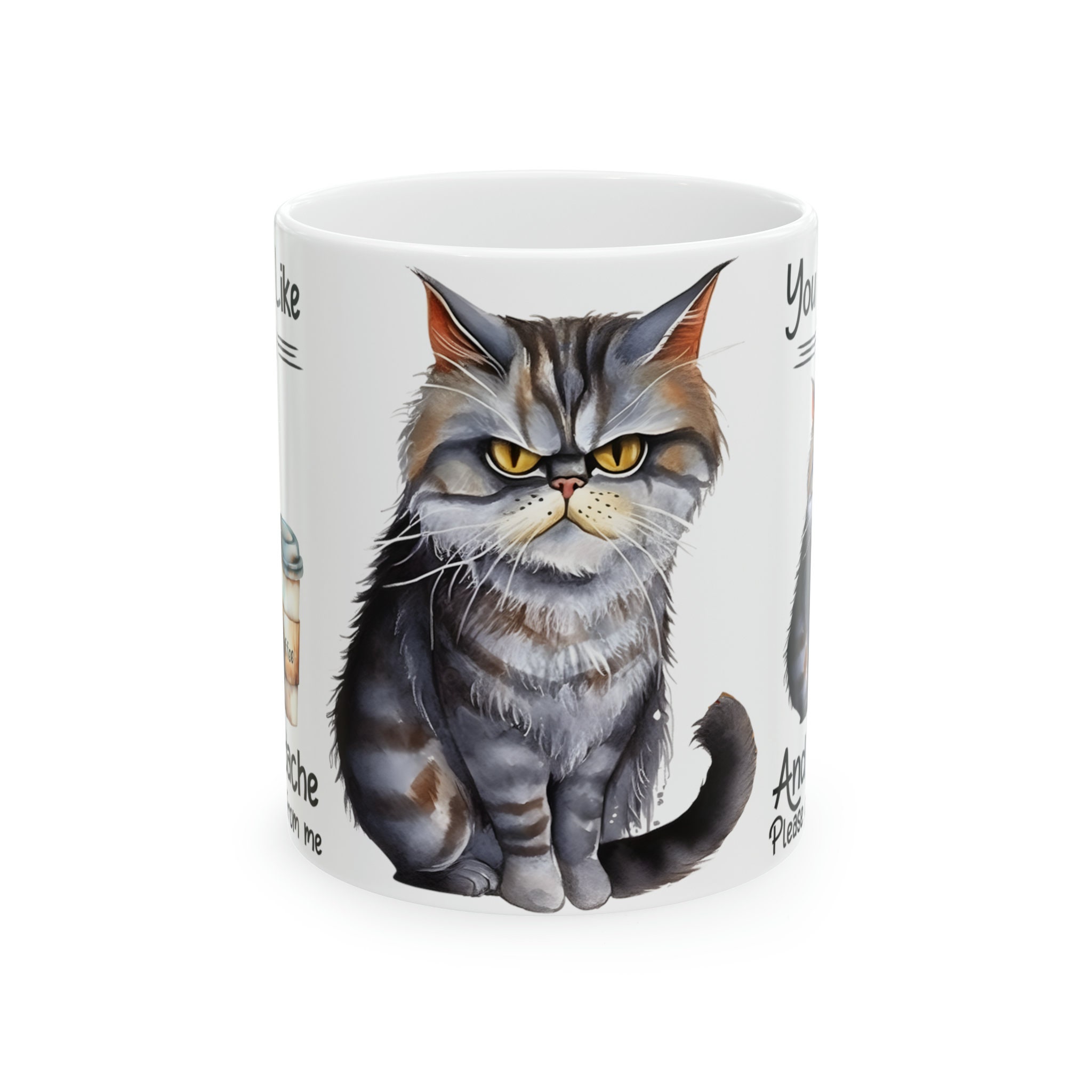 Grumpy Cat Coffee Mug, Sarcastic Ceramic Mug With Handle 11 Oz ...
