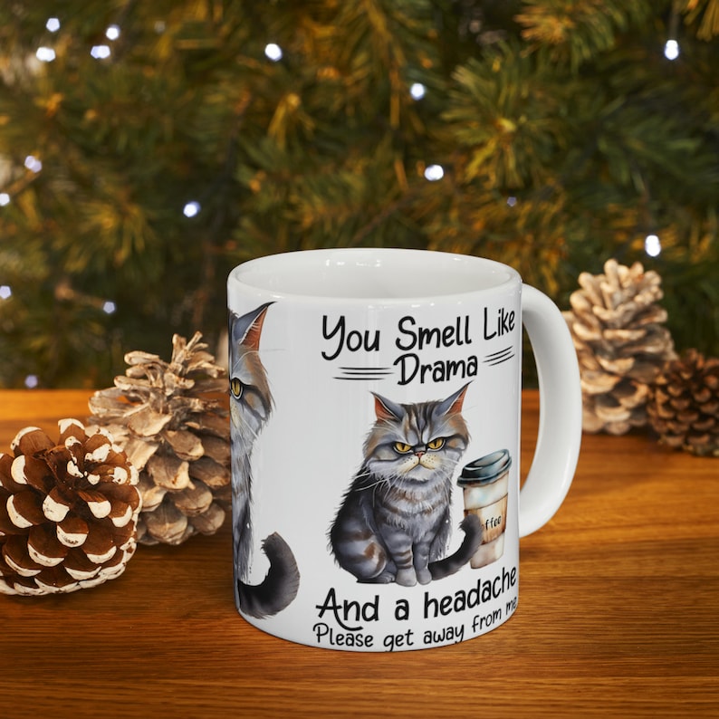 Grumpy Cat Coffee Mug Sarcastic Ceramic Mug With Handle 11 Oz Coworker Ts For Coffee Lovers
