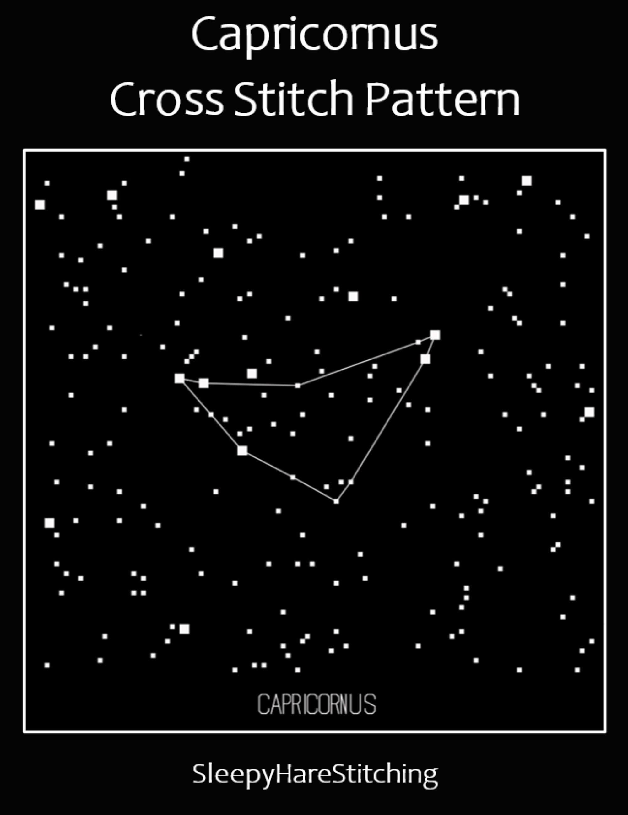 Capricornus Constellation, Cross Stitch Pattern, Beginner Needlepoint Chart, Easy Embroidery ...