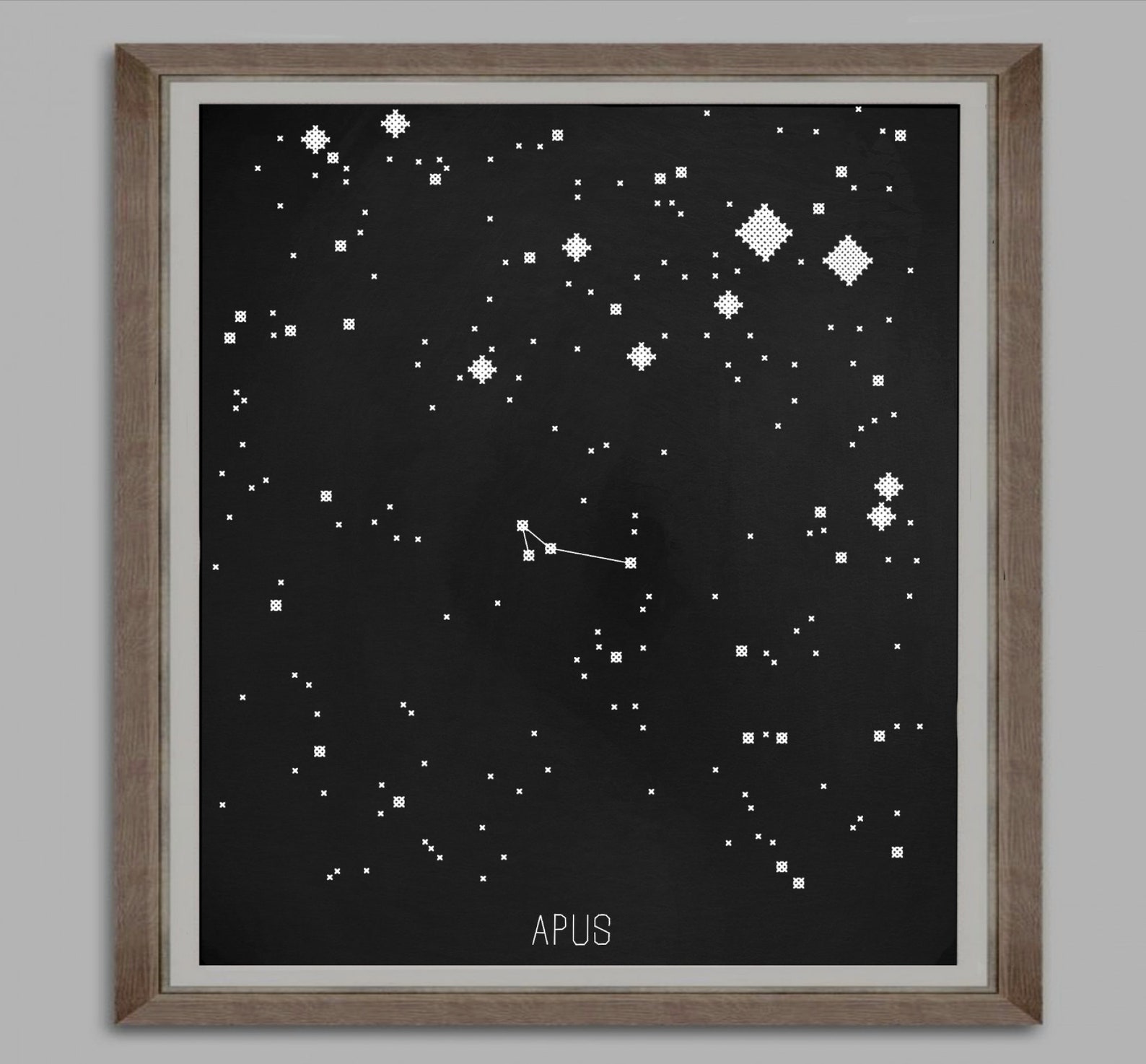 Apus Constellation, Cross Stitch Pattern, Beginner Needlepoint Chart ...