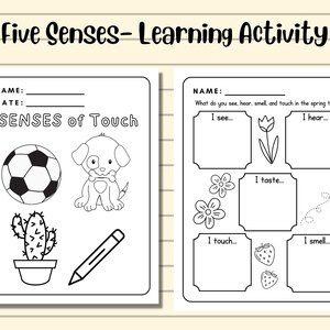 8 Pages of Five Senses Worksheets. Preschool Worksheets. Preschool ...