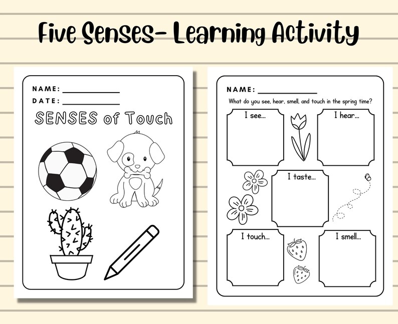 8 Pages of Five Senses Worksheets. Preschool Worksheets. Preschool ...