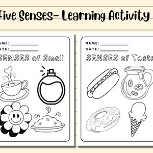 8 Pages of Five Senses Worksheets. Preschool Worksheets. Preschool ...