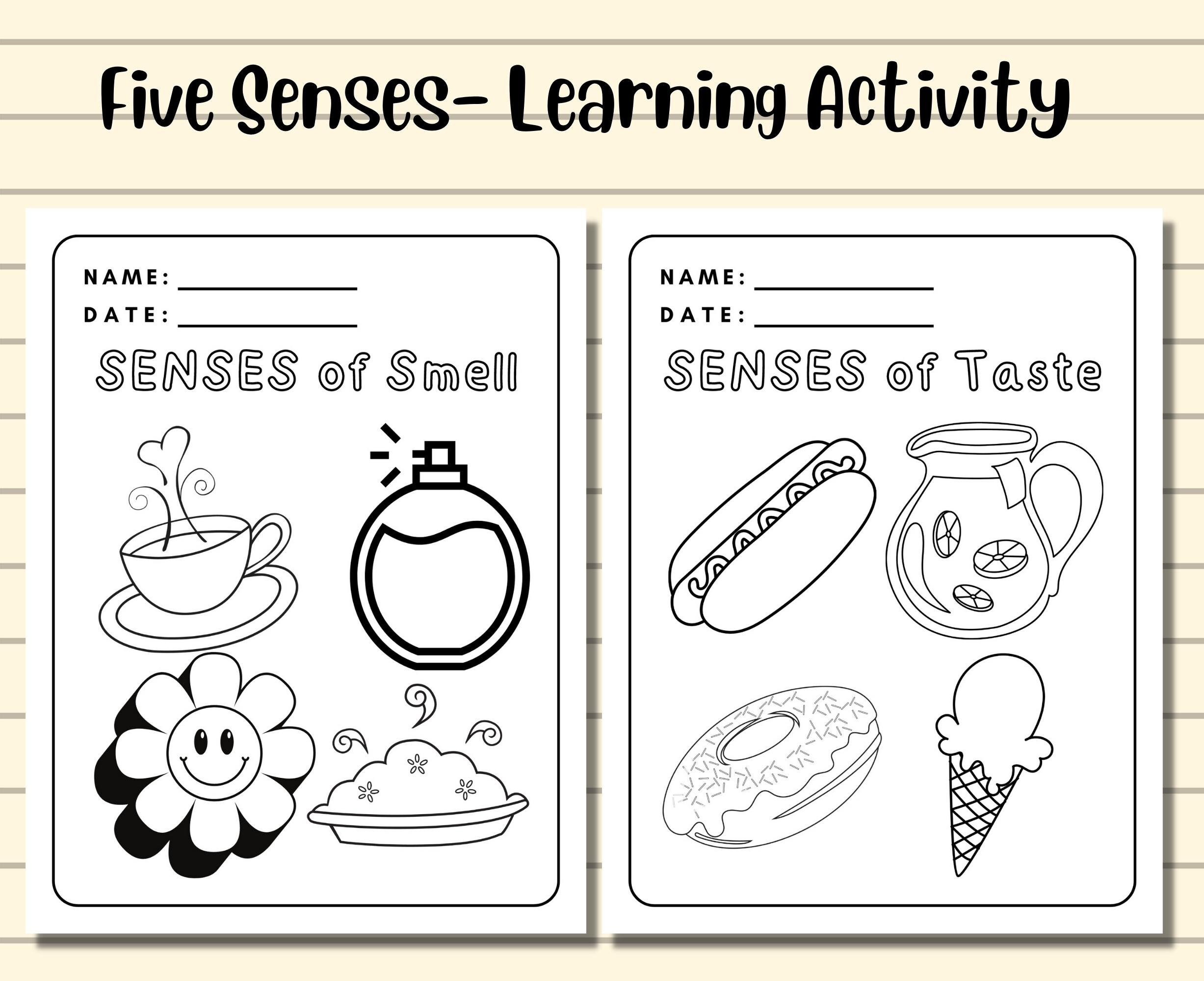 8 Pages Of Five Senses Worksheets Preschool Worksheets Preschool Activities Kindergarten