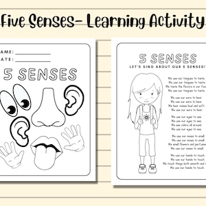 8 Pages of Five Senses Worksheets. Preschool Worksheets. Preschool ...