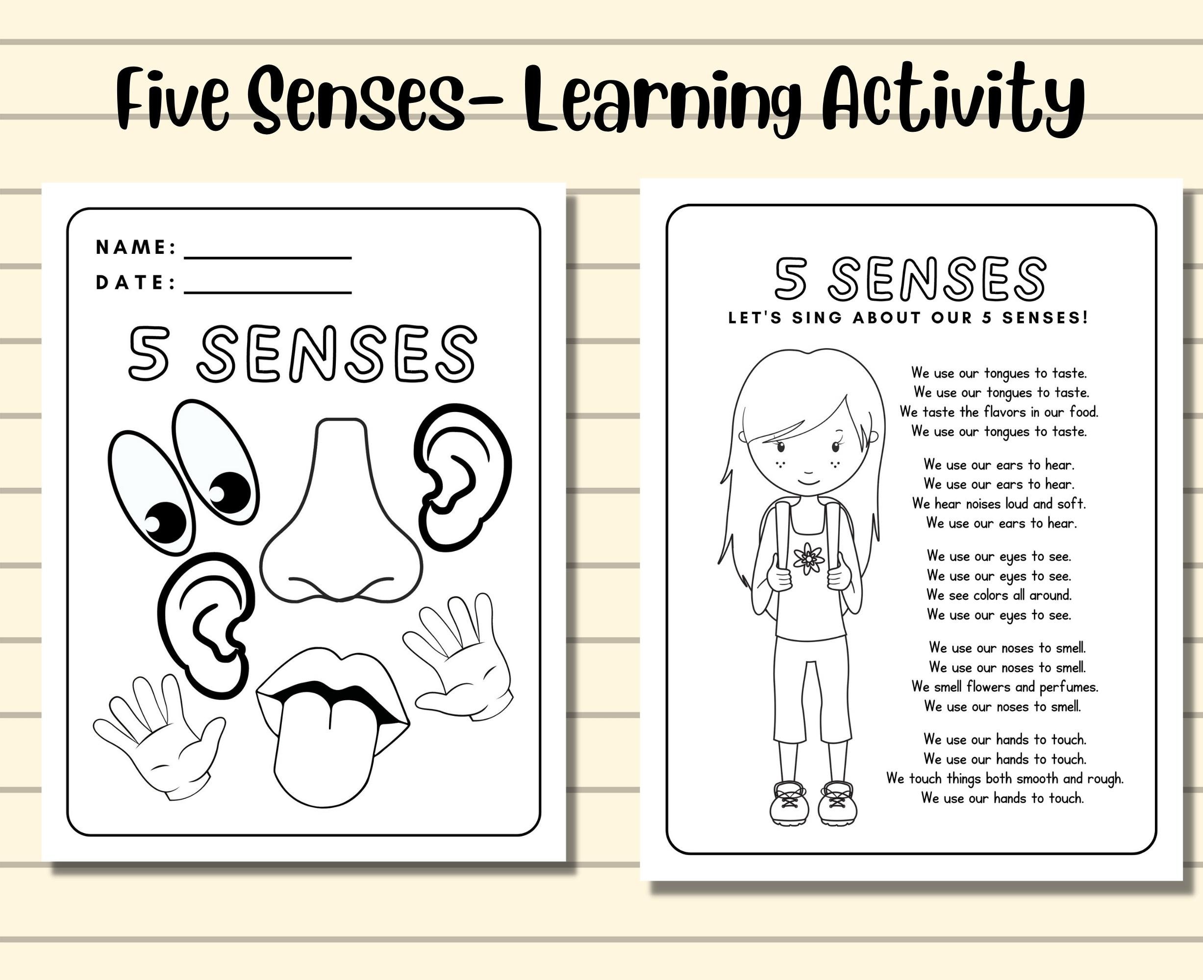 Hojas De Trabajo De Mis Cinco Sentidos