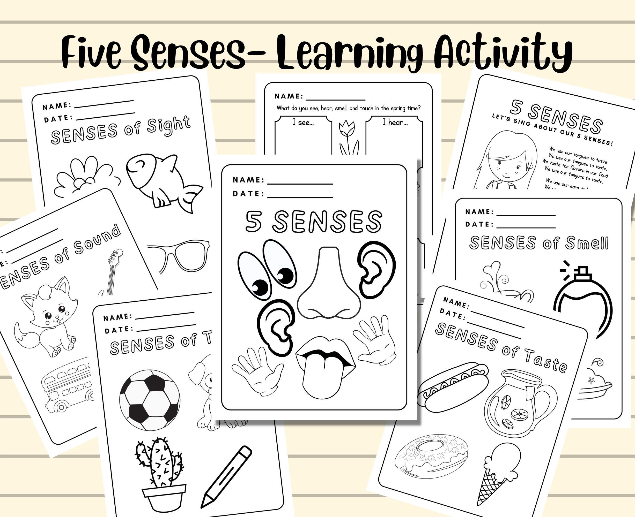 Five Senses Worksheets Kindergarten