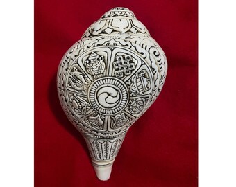 Buddhism Conch Shell - Etsy