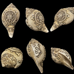 Small Conch Shell | Tibetan Eight Auspicious Symbols | Sanka of ...