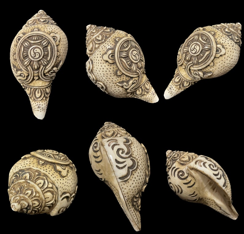 Small Conch Shell | Tibetan Eight Auspicious Symbols | Sanka of ...