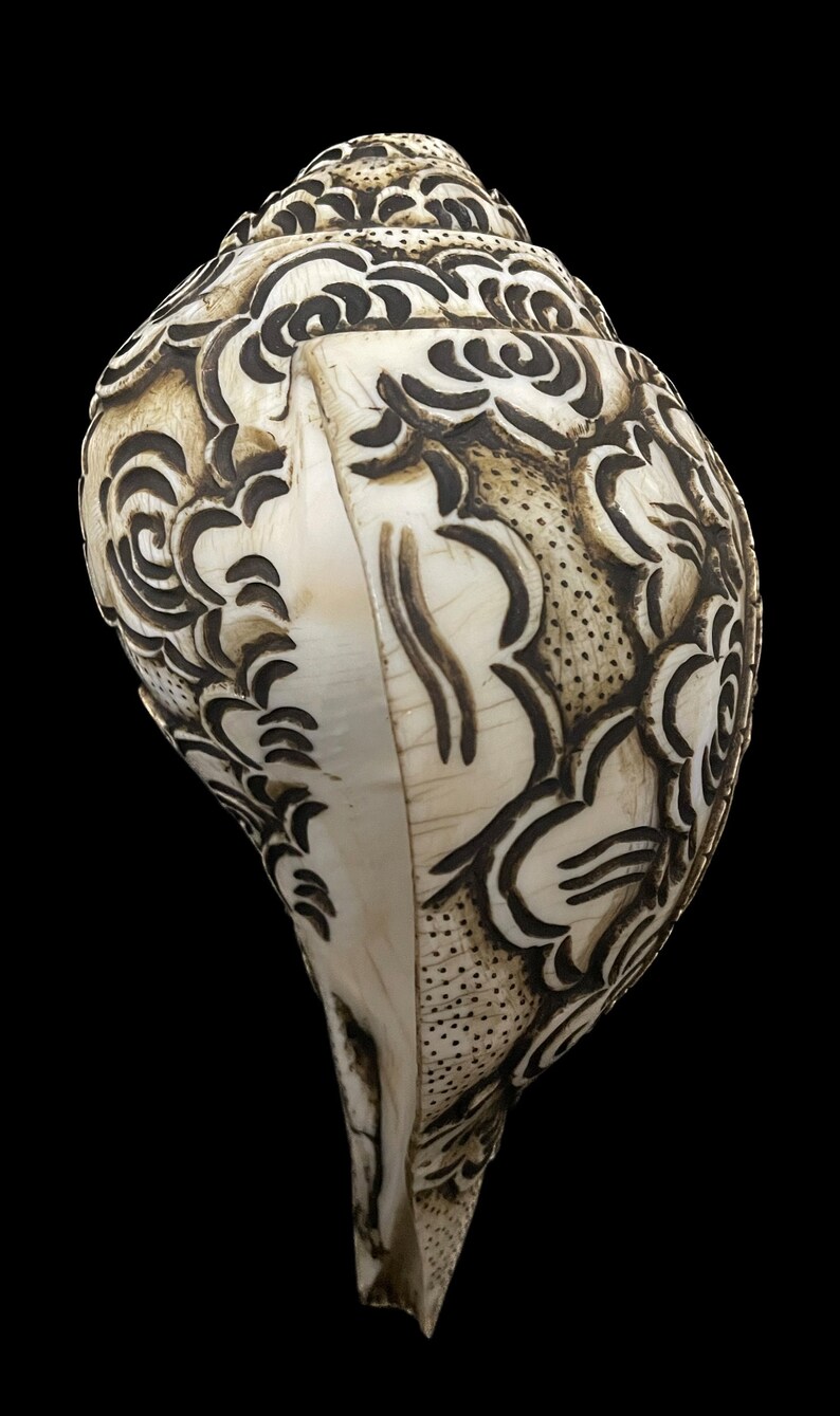 SHANKA - Tibetan Lucky Conch Shell Horn - Eight Auspicious Symbols of ...