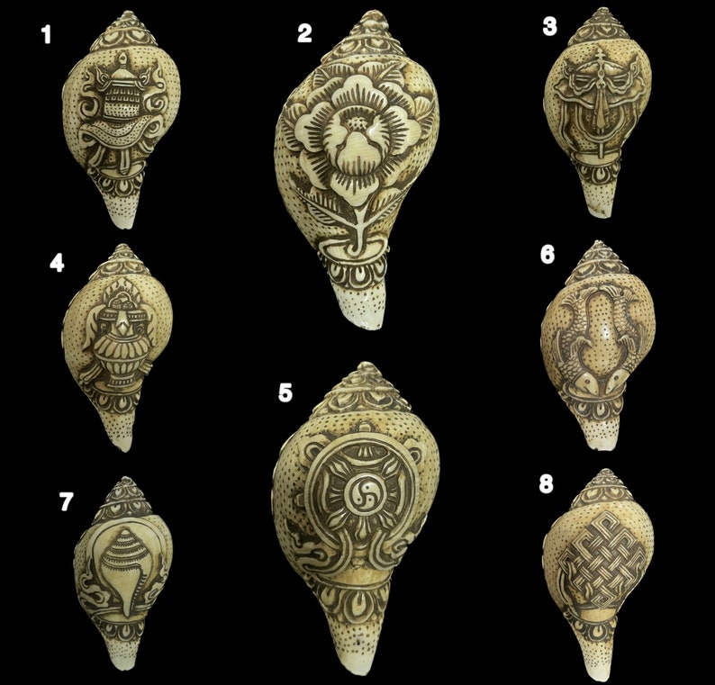 Small Conch Shell | Tibetan Eight Auspicious Symbols | Sanka of ...