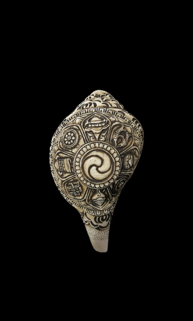 SHANKA Tibetan Lucky Conch Shell Horn Eight Auspicious Symbols of ...