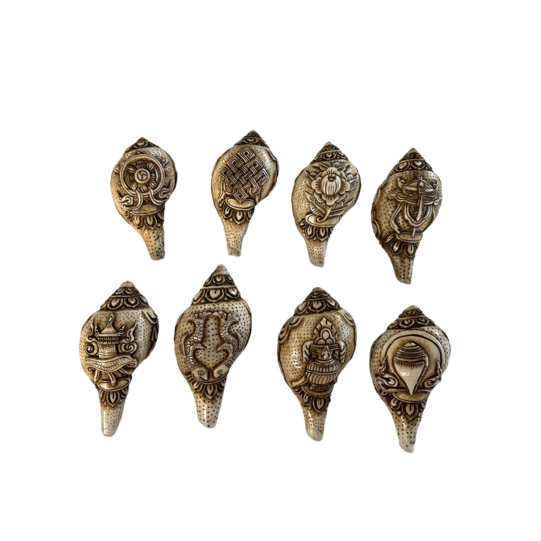 Small Conch Shell SET | Tibetan Eight Auspicious Symbols | Sanka of ...