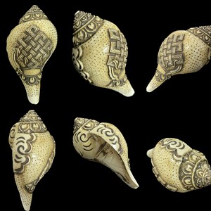 Small Conch Shell | Tibetan Eight Auspicious Symbols | Sanka of ...