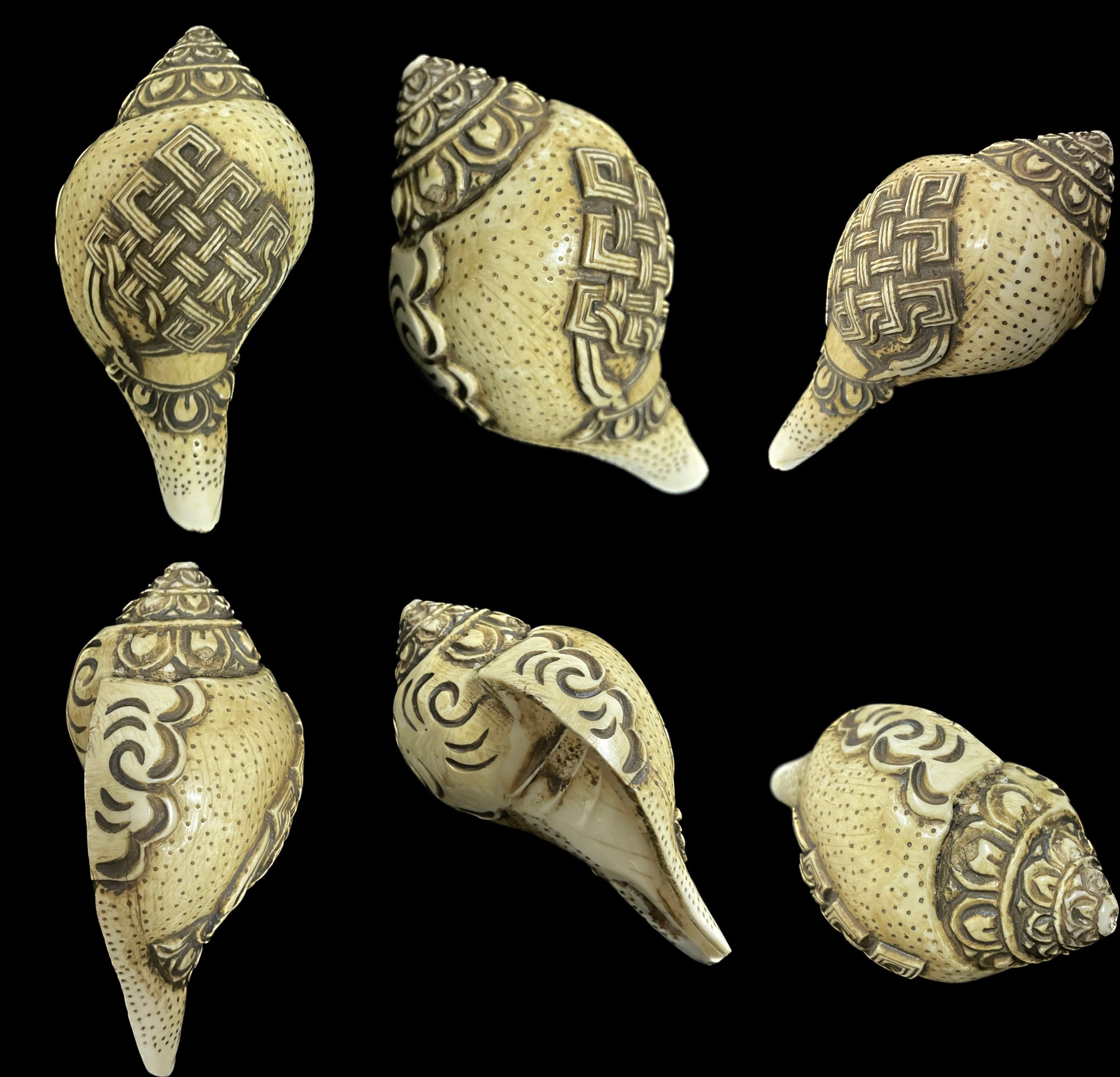 Small Conch Shell | Tibetan Eight Auspicious Symbols | Sanka of ...