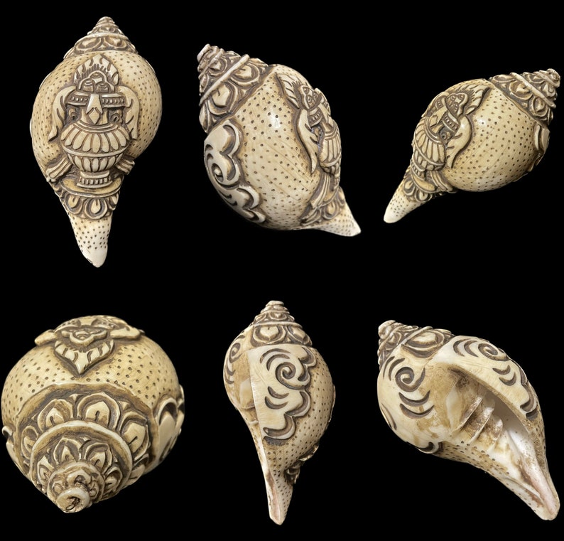 Small Conch Shell | Tibetan Eight Auspicious Symbols | Sanka of ...