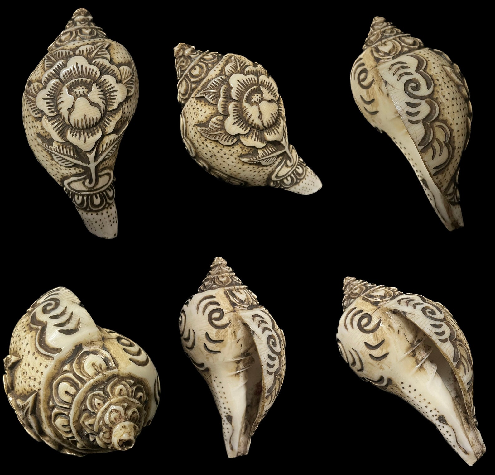 Small Conch Shell | Tibetan Eight Auspicious Symbols | Sanka of ...