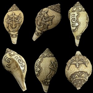 Small Conch Shell | Tibetan Eight Auspicious Symbols | Sanka of ...