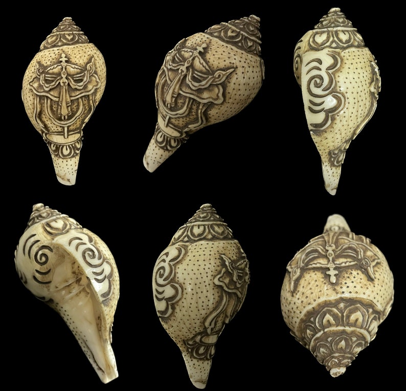 Small Conch Shell | Tibetan Eight Auspicious Symbols | Sanka of ...