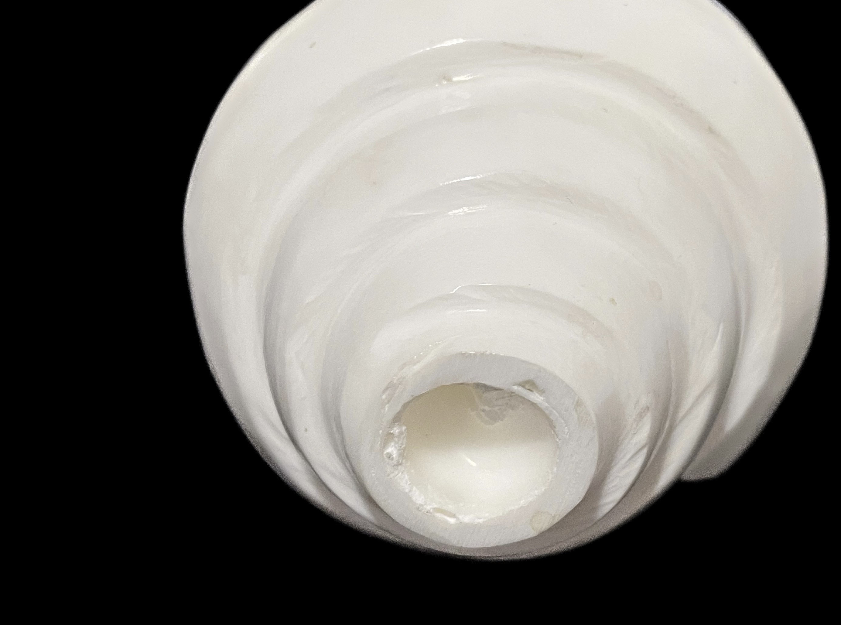 Conch Shell Horn I Beautiful Plain White Sanka I Instrumental Trumpet ...