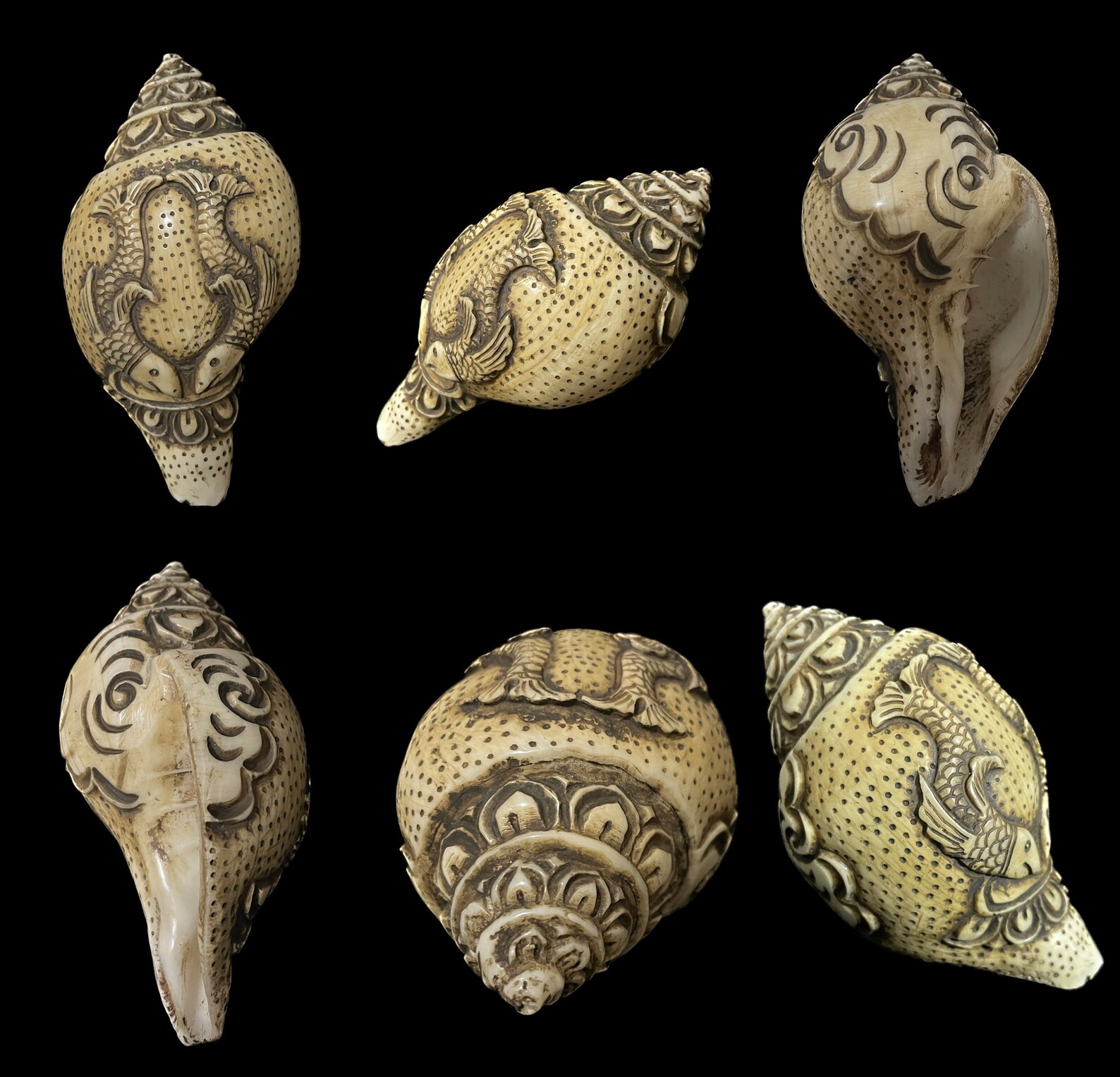 Small Conch Shell | Tibetan Eight Auspicious Symbols | Sanka of Buddhism | Individual Set ...