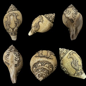 Small Conch Shell | Tibetan Eight Auspicious Symbols | Sanka of ...