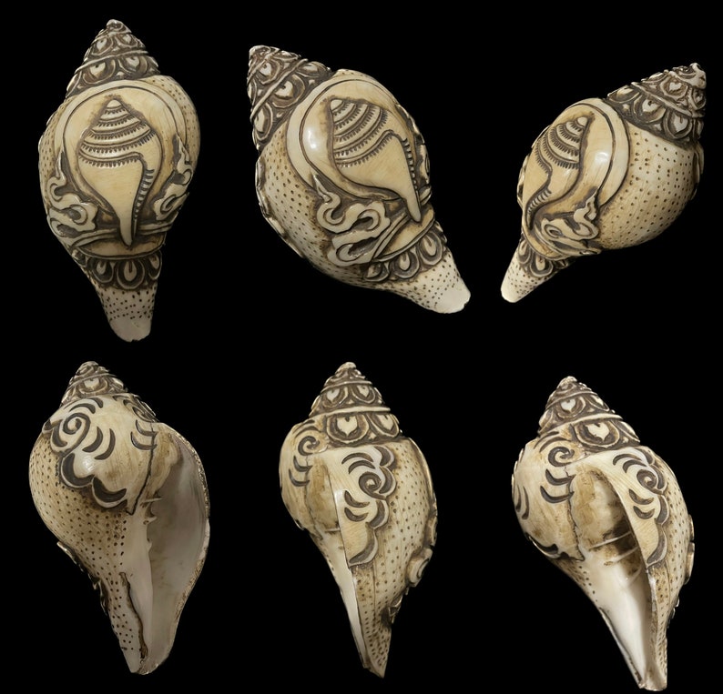 Small Conch Shell | Tibetan Eight Auspicious Symbols | Sanka of ...