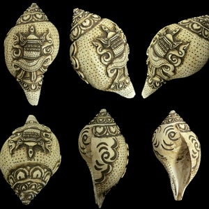 Small Conch Shell | Tibetan Eight Auspicious Symbols | Sanka of ...