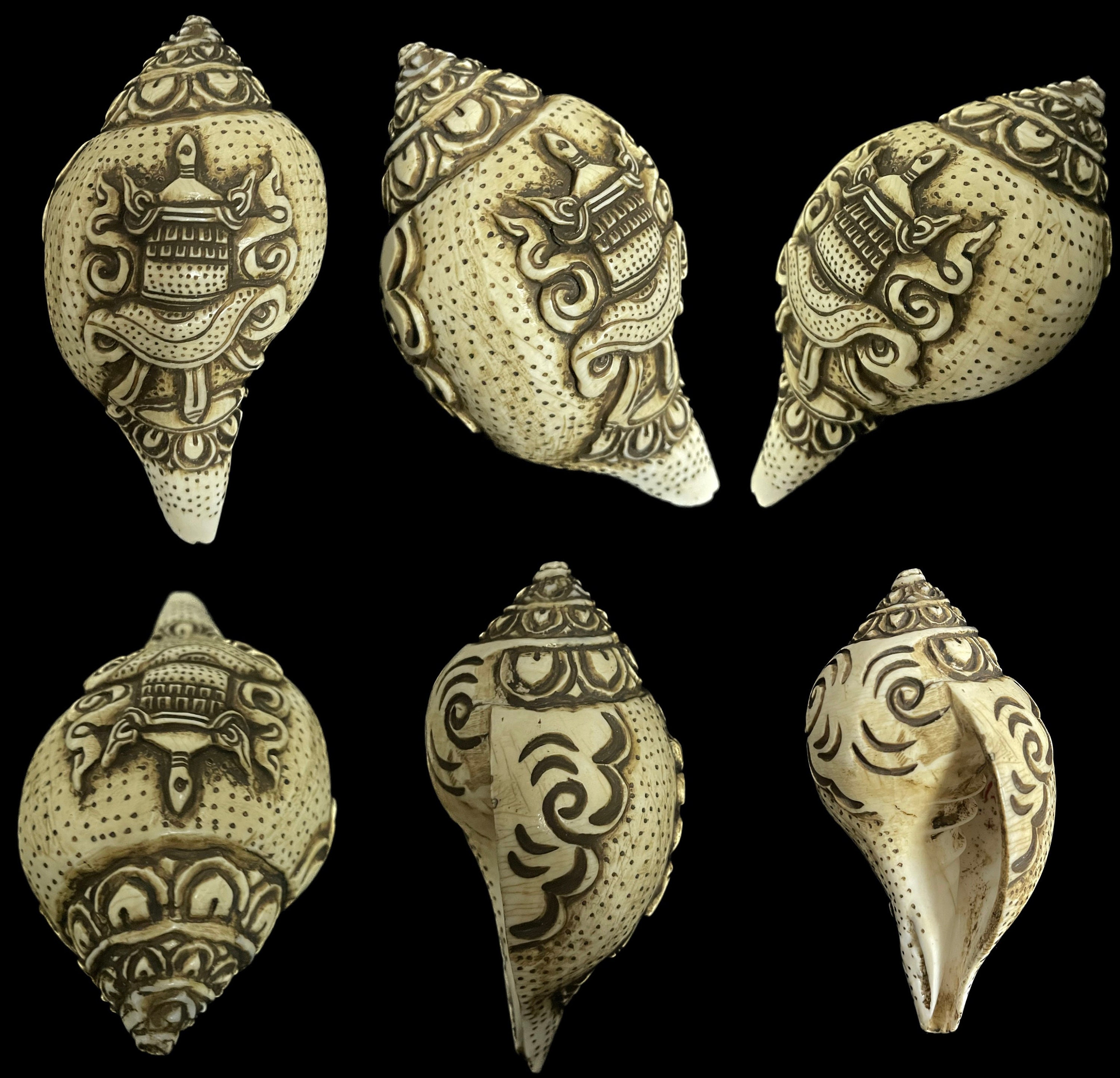 Small Conch Shell | Tibetan Eight Auspicious Symbols | Sanka of ...