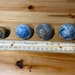 Handpicked Variety of Natural Seashells (small, Medium, Large, Mix ...