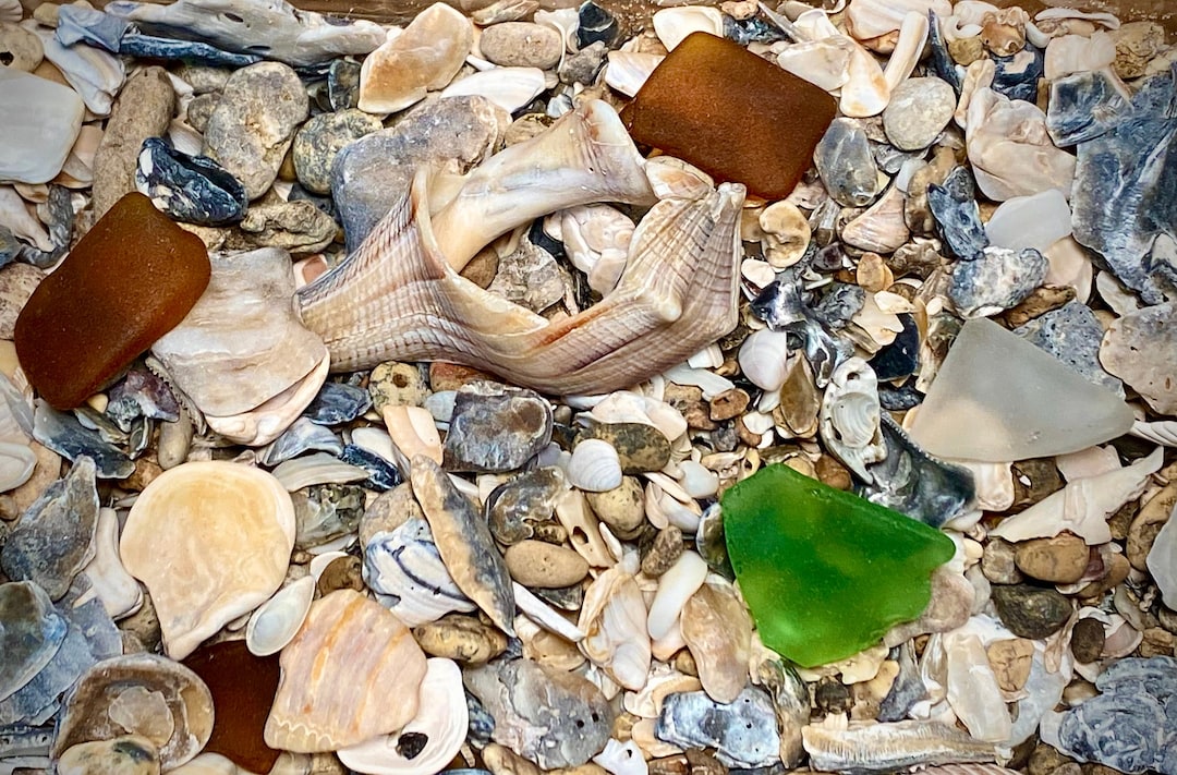 Handpicked Natural Crushed Seashells Coarse Sand Bolivar Peninsula - Etsy