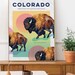 Colorado Buffalo Poster - Etsy