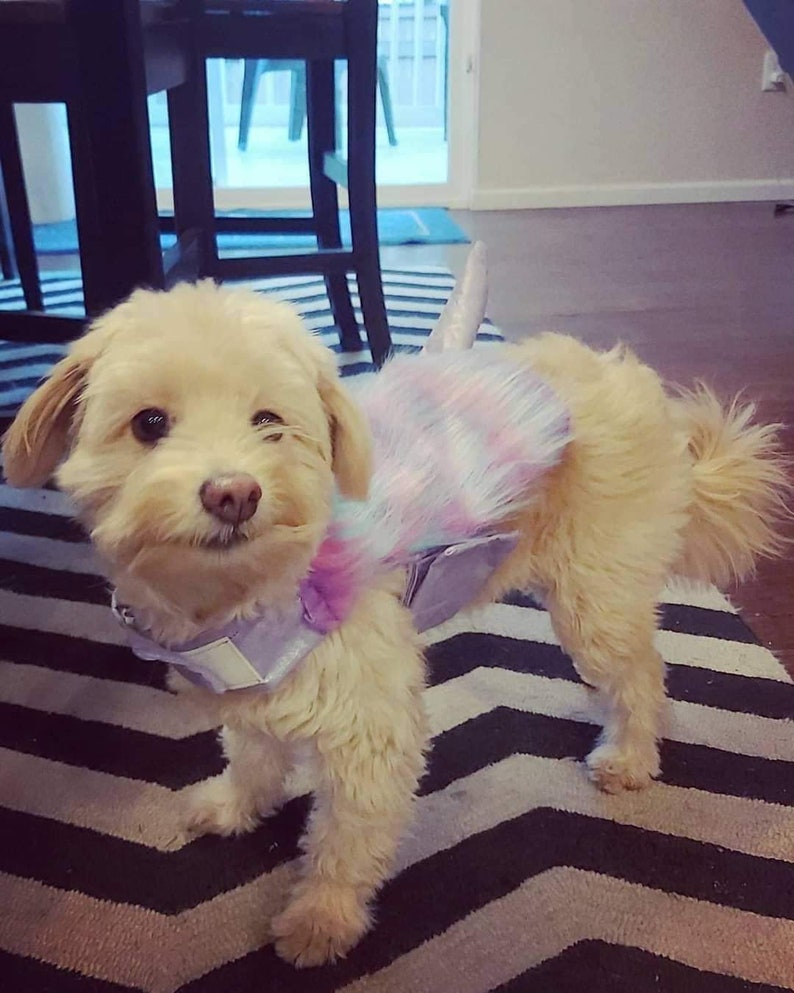 Custom Dog Clothing Made to Order Pet Clothes - Etsy
