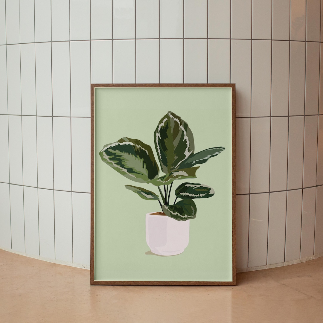 Crazy Plant Lady Wall Art Minimalist Plant Poster for School ...