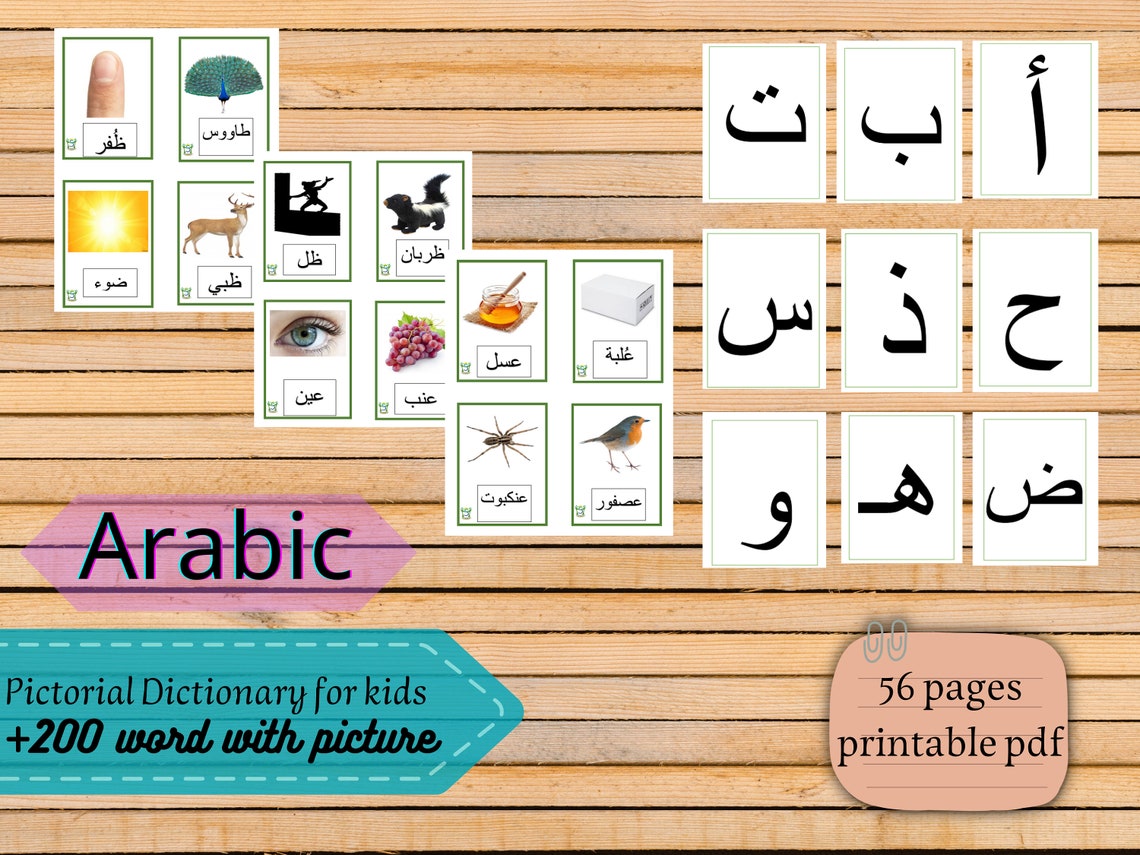 Montessori Pictorial Dictionary for Kids Arabic ,real Pic. Flash Cards ...