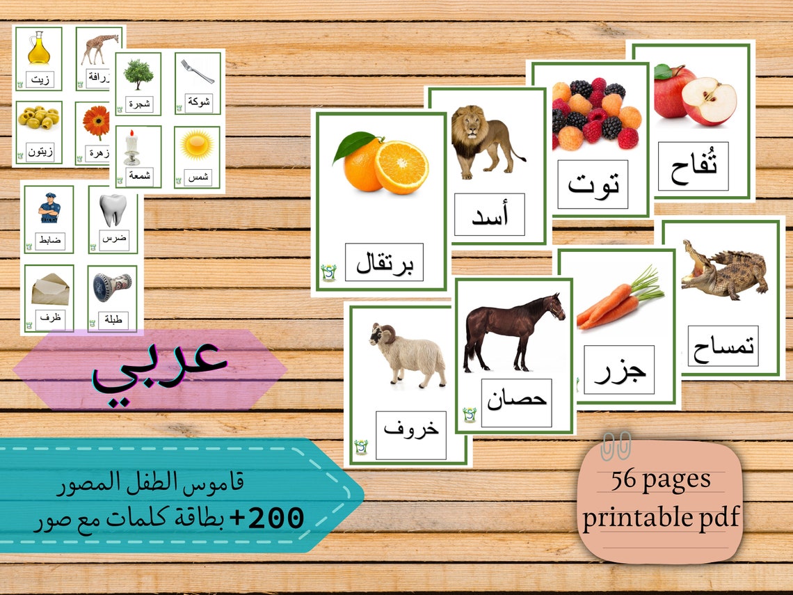Montessori Pictorial Dictionary for Kids Arabic ,real Pic. Flash Cards ...