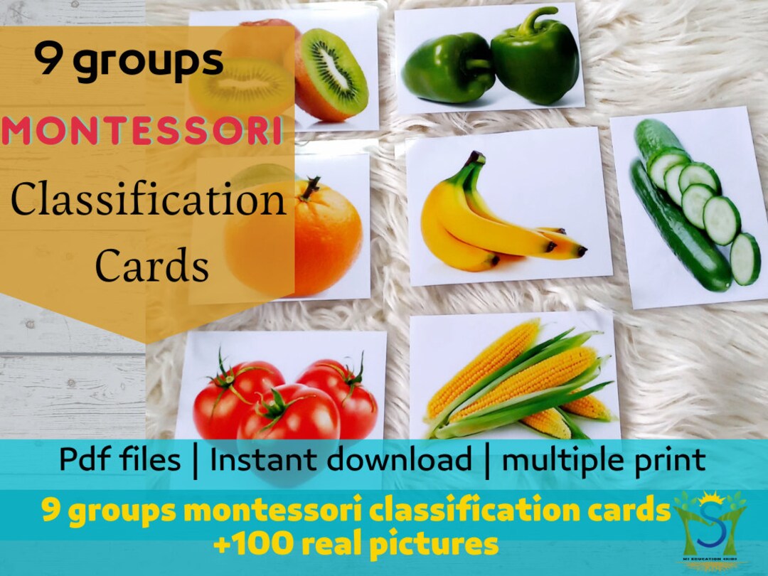 Montessori Classification Cards Flash Cards for Toddlers Farm, Forest ...