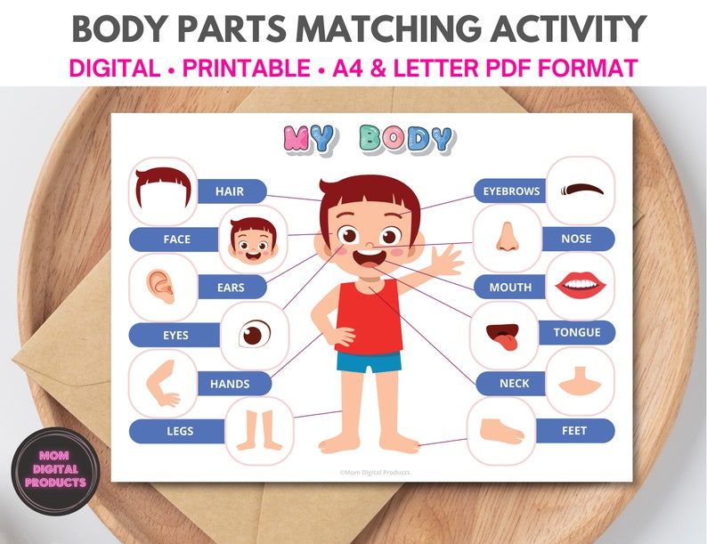 Body Parts Matching Activity, Toddler Busy Book Printable - Etsy