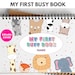 Toddler Activity Busy Book Printable, My First Learning Book (editable ...