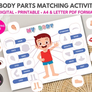 Body Parts Matching Activity, Toddler Busy Book Printable - Etsy