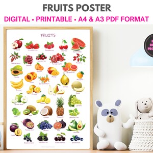 Fruits Poster, Montessori Poster, Educational Poster - Etsy