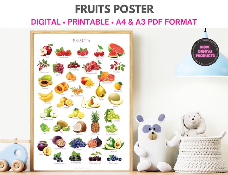 Fruits Poster, Montessori Poster, Educational Poster - Etsy