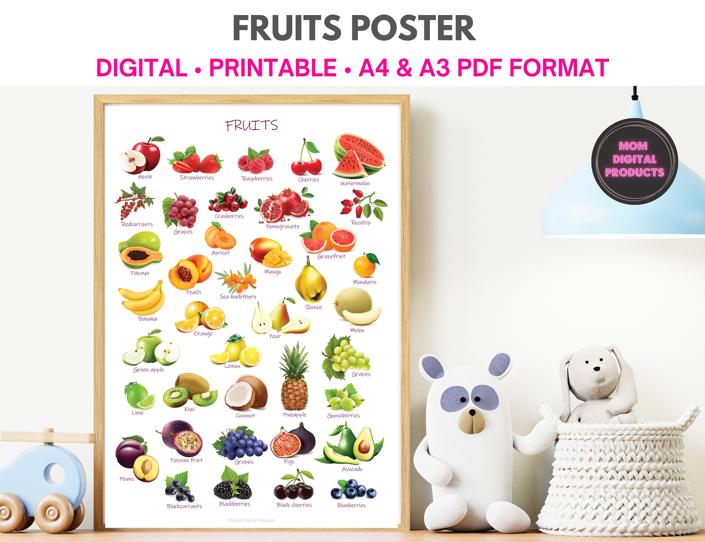 Fruits Poster, Montessori Poster, Educational Poster - Etsy